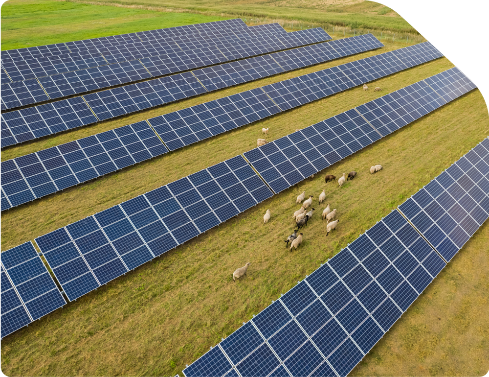 Inthy | Renouvelables